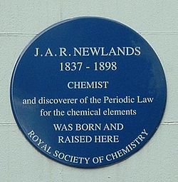 John Alexander Reina Newlands FAQs 2026- Facts, Rumors and the latest ...