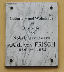 Karl von Frisch FAQs 2025- Facts, Rumors and the latest Gossip.