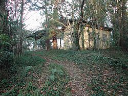 Masanobu Fukuoka FAQs 2025- Facts, Rumors and the latest Gossip.